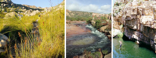 06 Cederberg | Rough or Smooth